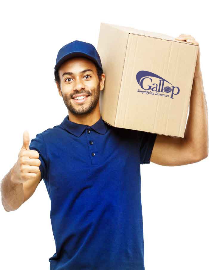 Experience the Ease of International and Worldwide Shipping